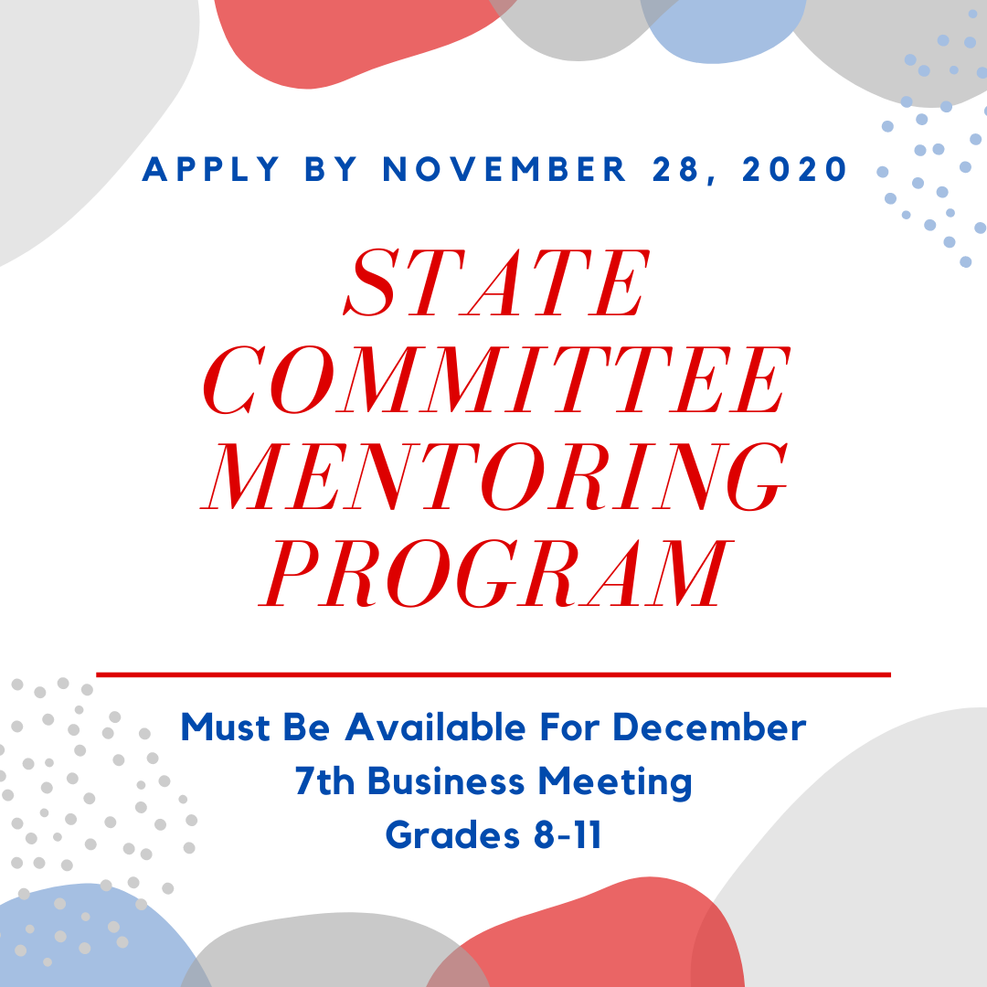 State Committee Mentoring Program Application | Delaware TSA